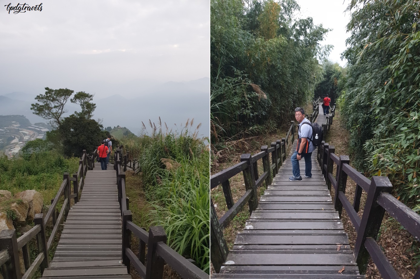 Taiwan Trip Day 5 - Alishan (阿里山) | Fenchihu 奋起湖 | Eryanping Trail ...