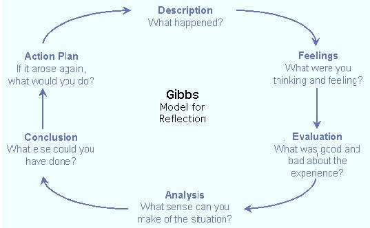 Wrist Spin Bowling: Homework - Gibbs reflective practice