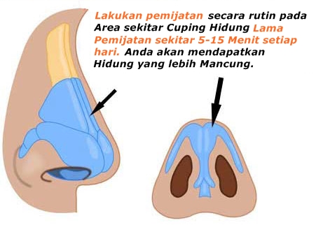 Nose Up: 4 Tips Memancungkan Hidung Secara ALAMI