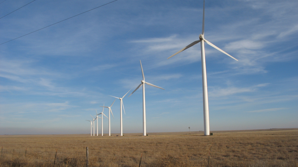 Beneath the Wisteria: Texas 'flat-earthers' opt for renewable energy