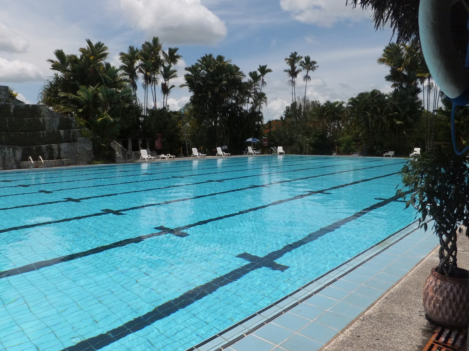 In Search of the Good Life...: Costa Rica - Days 9 + 10 Guapiles