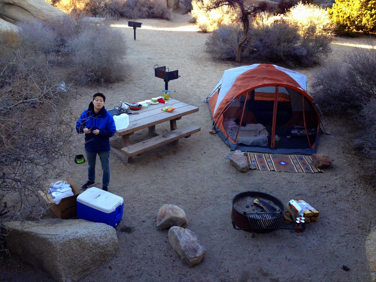 Tanny Chang: Christmas in Joshua Tree