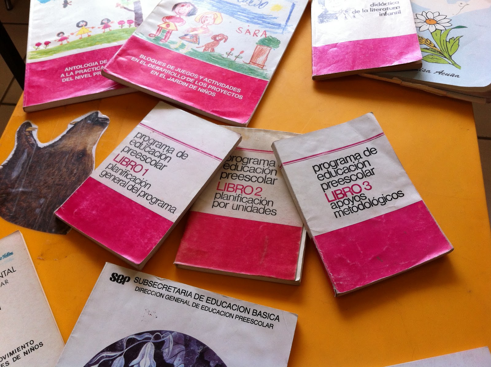 Una mirada atrás: Programa de Educación Preescolar 1981