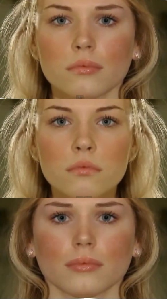 Van Diest Supply Florence Colgate