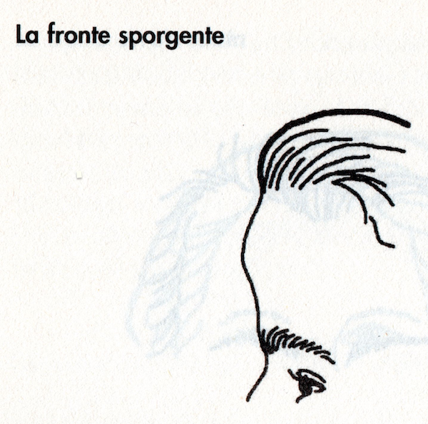 Fare un Identikit online: Tipi di fronte con vista di profilo