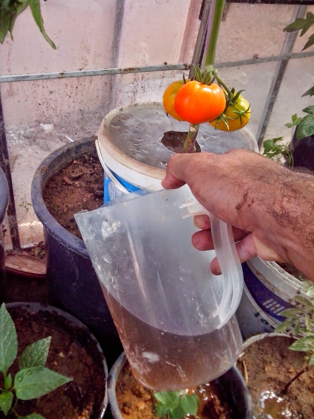 Tarım Siteniz: Humik asit elde etme Yöntemleri ( Ev yapımı ) (Homemade ...