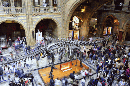 English with Eve: "A Day at the Museum : Natural History Museum" (Video)