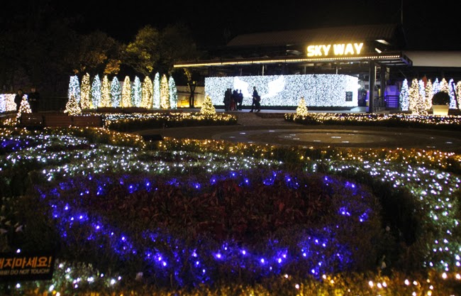 [Daegu night date course] E-world's night is fun! Christmas tree ...