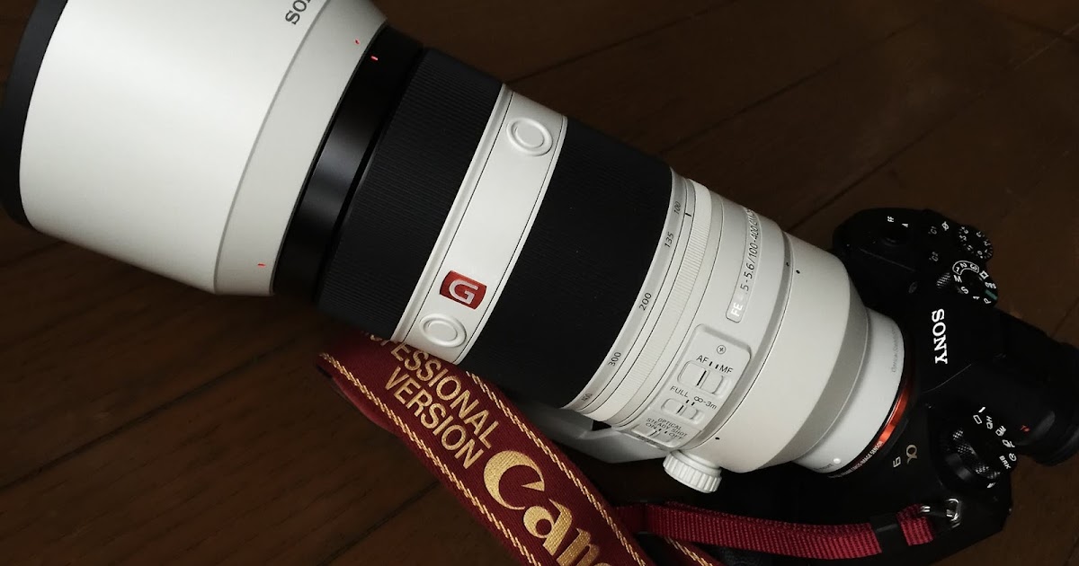 SEL100400GM Update Ver.02 | Photo of the Life