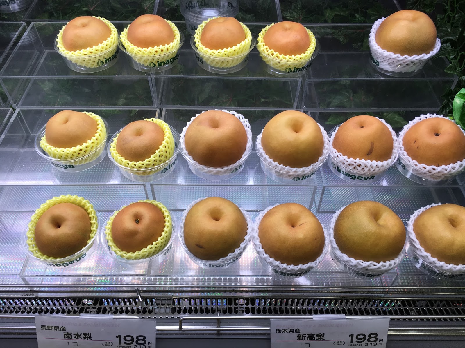 The Queen of Fruits - La France (Western Pear)