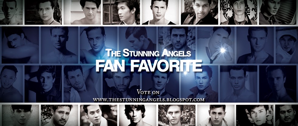 The Stunning Angels Award - Fan Favorite of Mister International 2013
