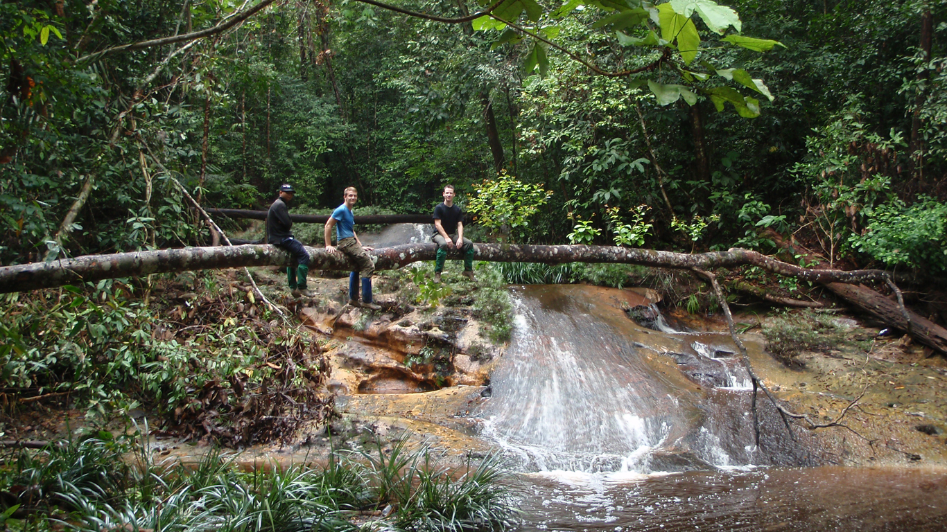 Bornean Clouded Leopard Programme: Next up – The Kabili-Sepilok Forest ...
