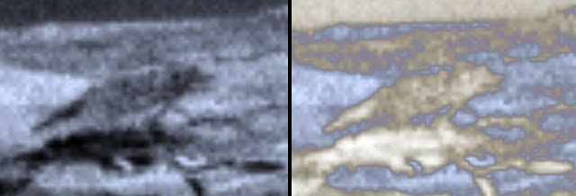 ufosightingshotspot: ‘Mars Wolf’ Photographed By Curiosity Mars Rover