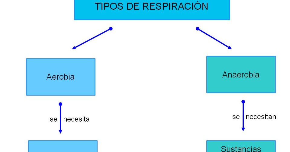 Pedagogía: Comparación entre la respiración aerobia y anaerobia