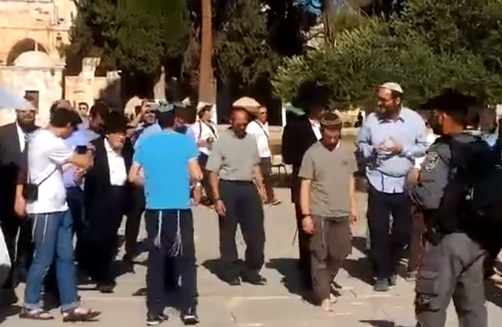 My Right Word: Would Rav Aviner Learn Torah With Rabbi Moshe Tendler?