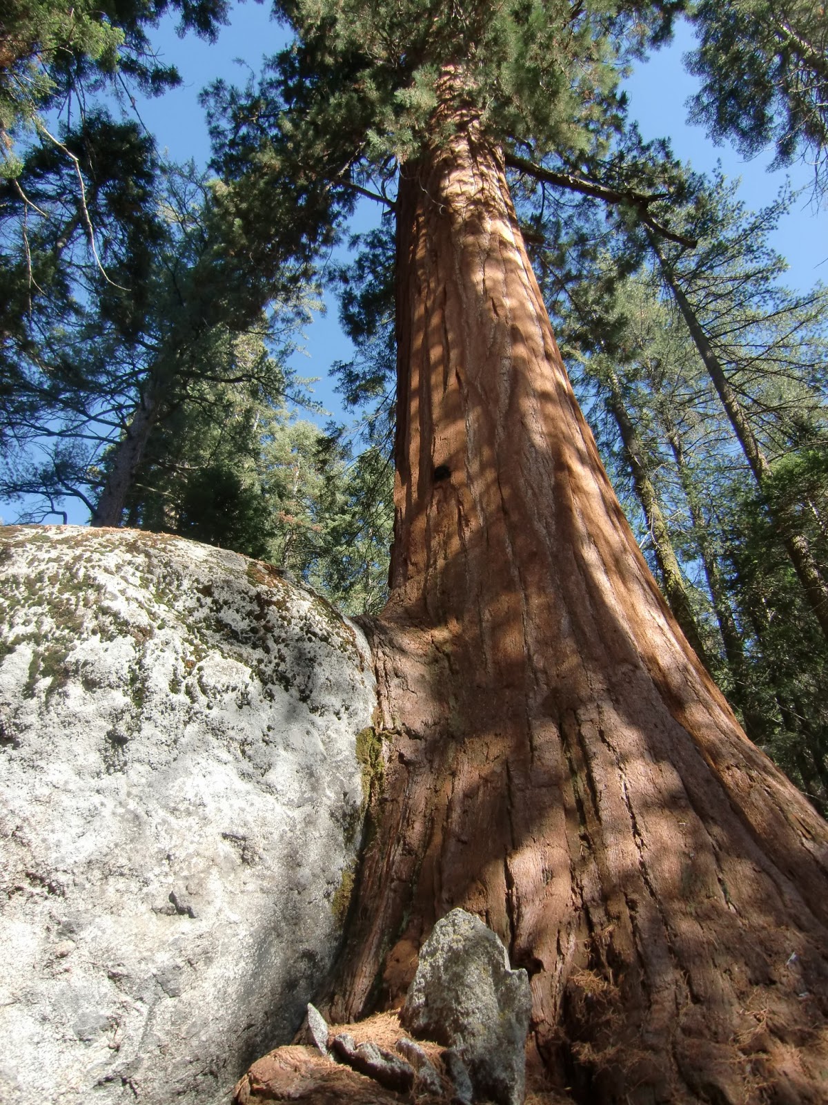 Geography of the Sierra Nevada Mountain Range: Sequoia National Park