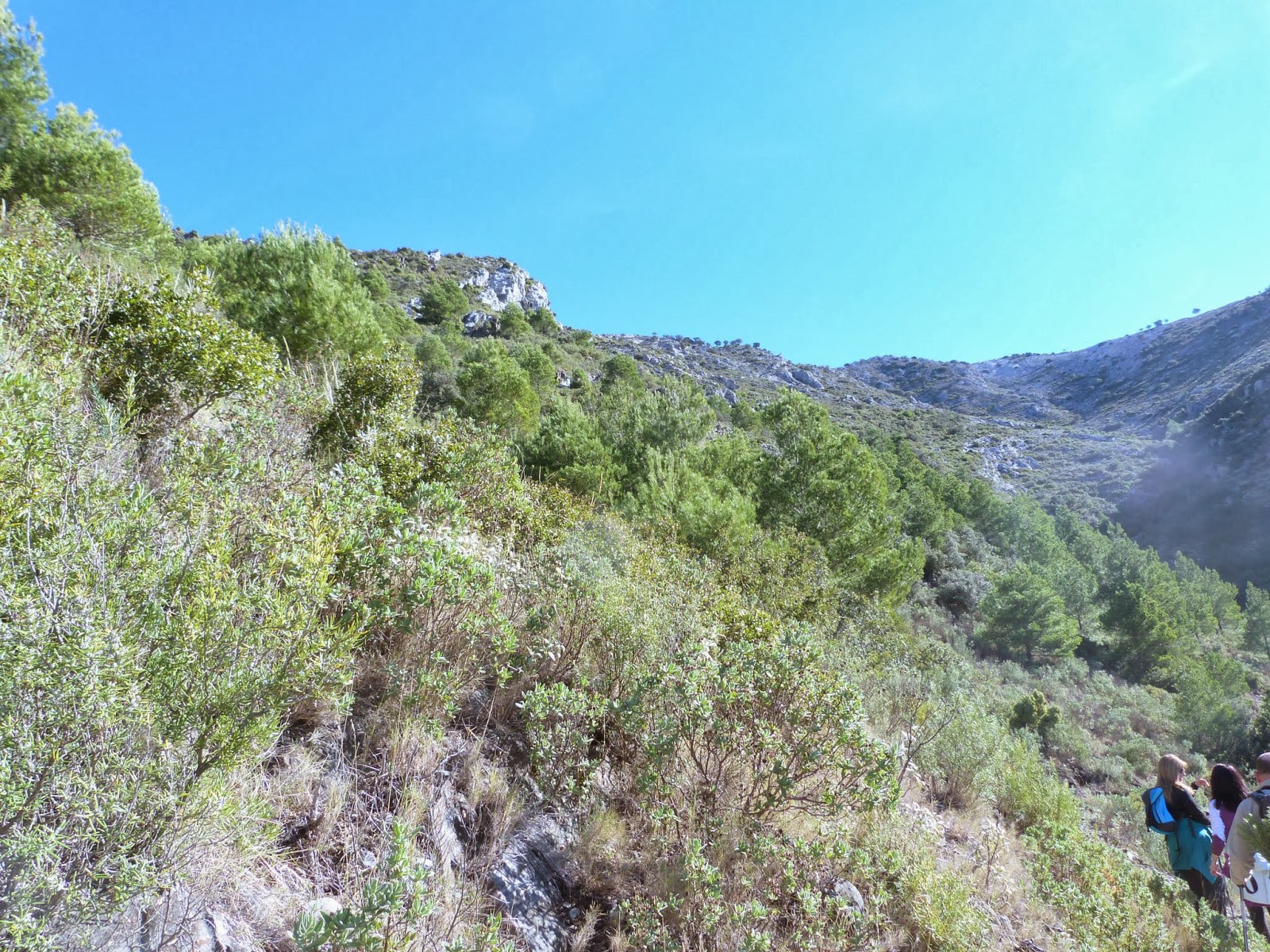 Senderismo. Ruta circular por Alcaucín.