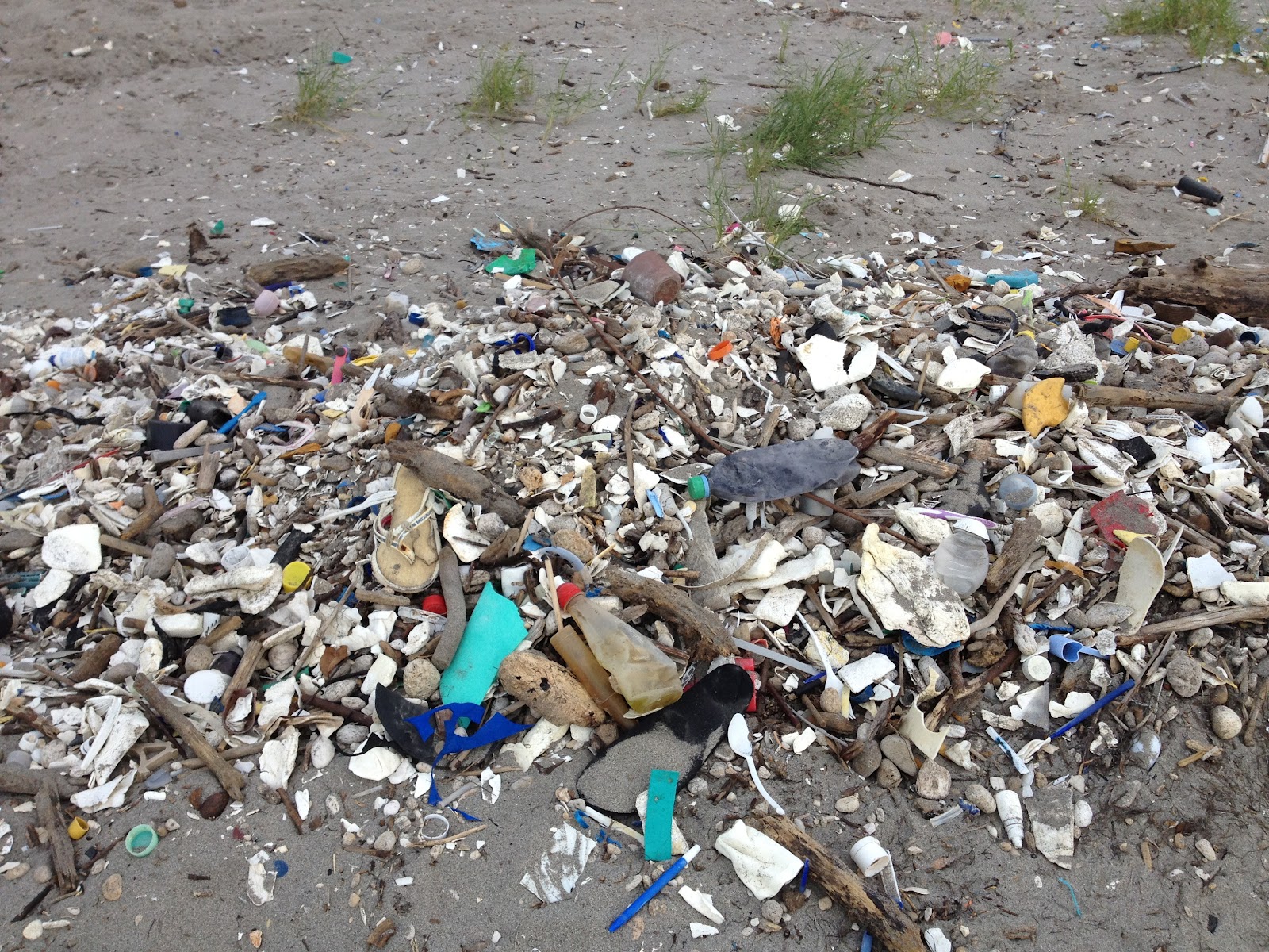 NH Marine Debris: Is this what you want all of our beaches to look like?