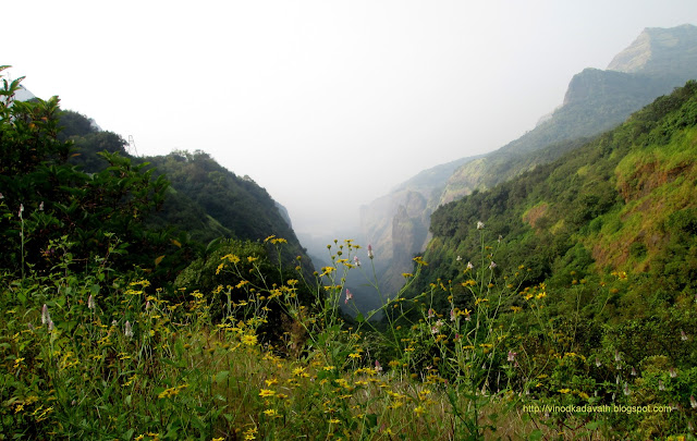 Andharban Valley Trek ~ Vinod K's Travel Blog