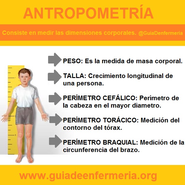 ANTROPOMETRÍA - GUÍA DE ENFERMERÍA
