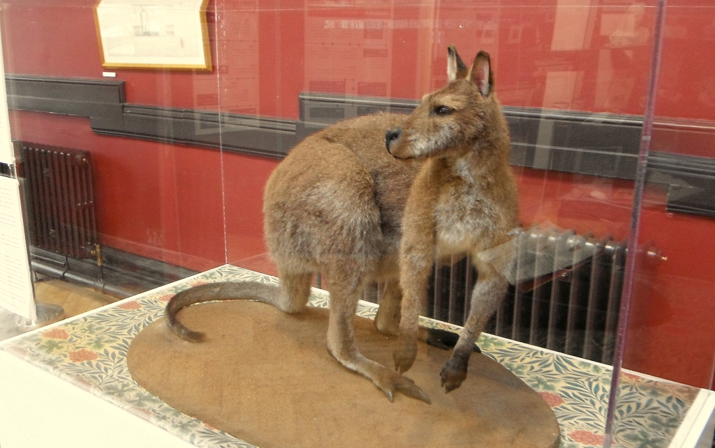 Staffordshire Photo: 01/11/12 - 01/12/12