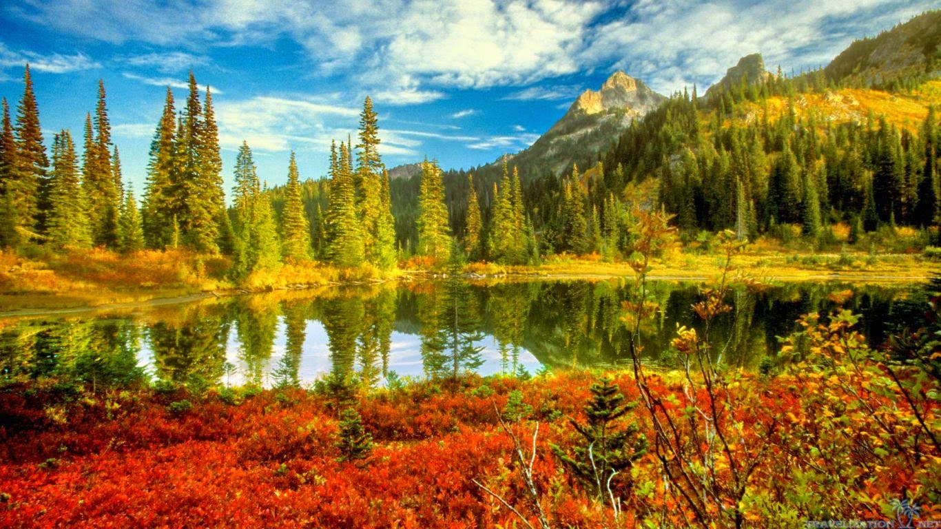 AS MAIS BELAS IMAGENS DA NATUREZA