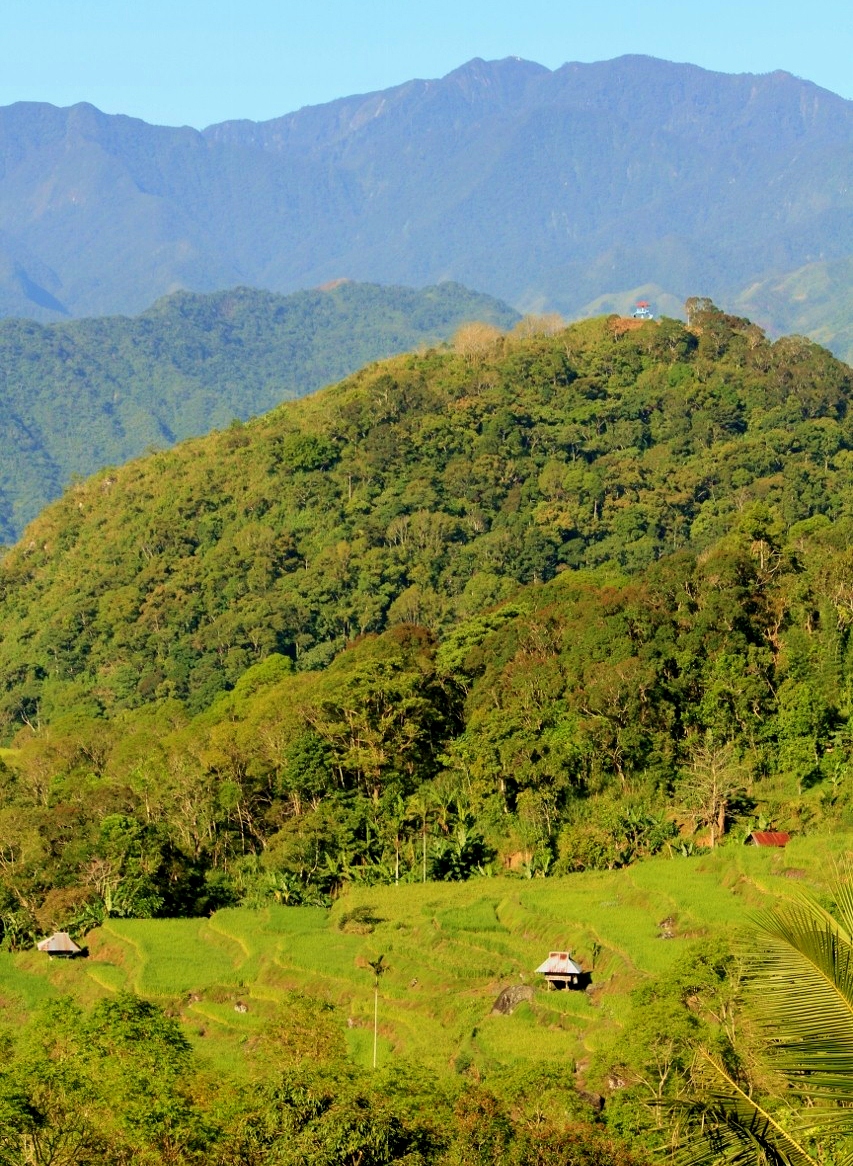 An Igorot Journey: The Natonin Sas-alliwa