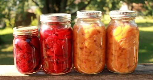 The Silicon Valley Librarian: Preservation Tools