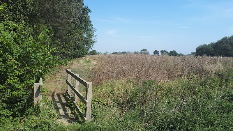 Saxmundham to Rendham Circular Walk ~ Griffmonsters Great Walks