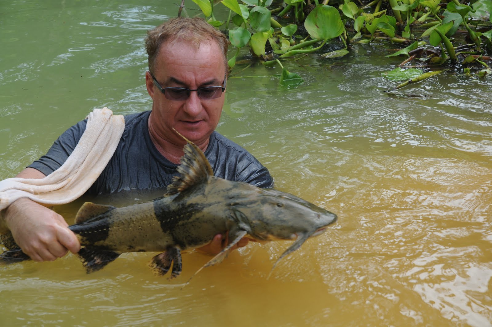 EXOTIC FISHING THAILAND: FISH BY THE TRUCK LOAD