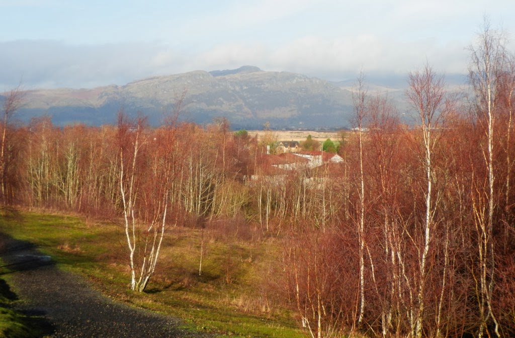 My Daily Walk: Fallin Railway and Bing