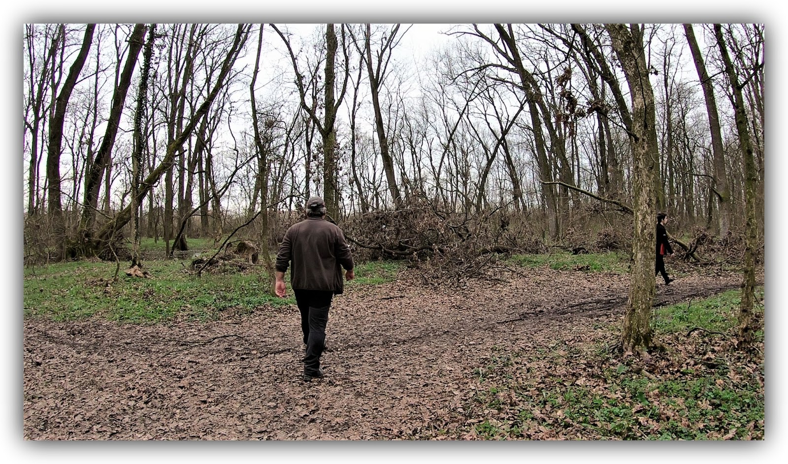 O plimbare prin padure