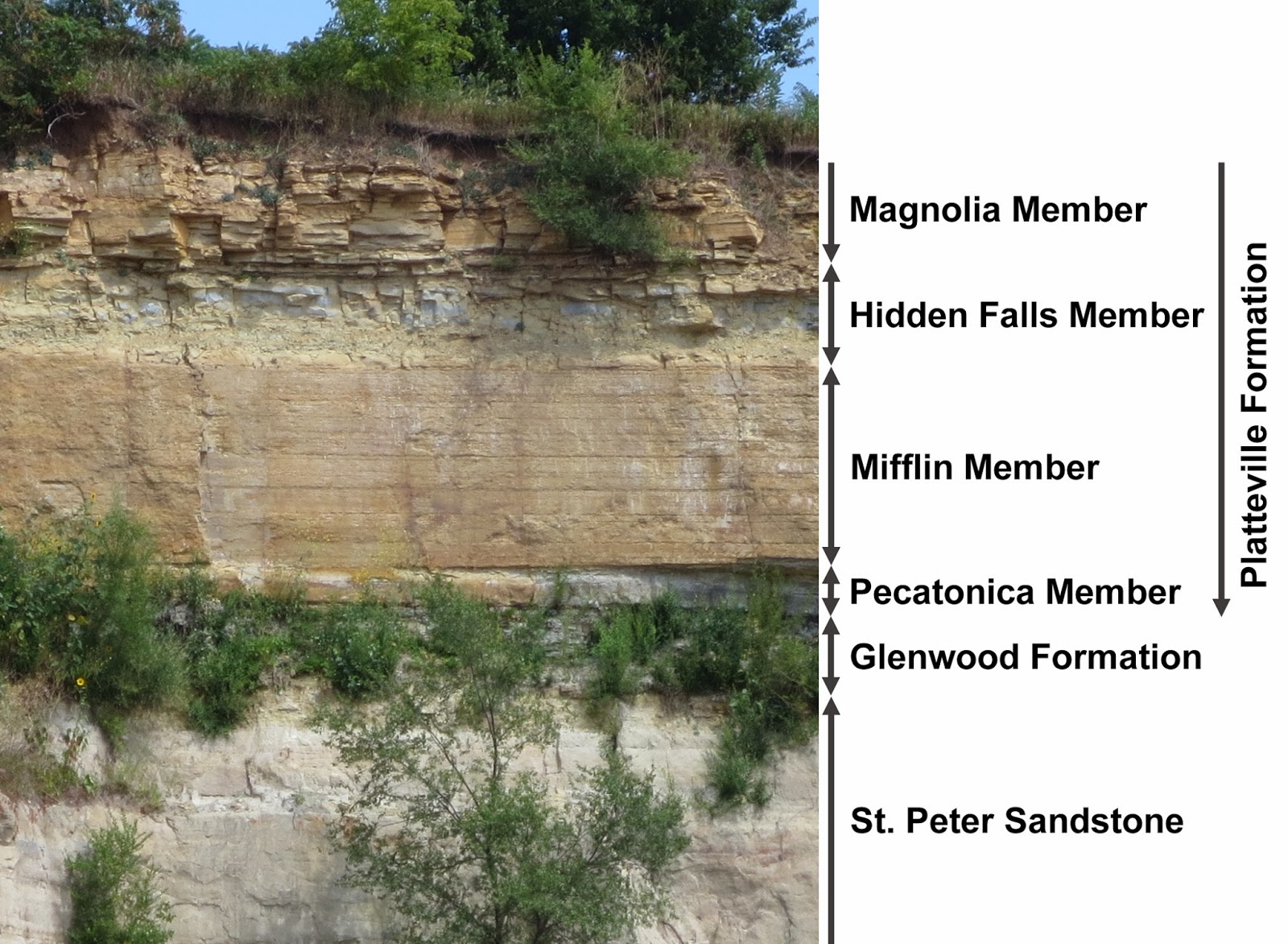 Equatorial Minnesota: Divisions of the Platteville Formation