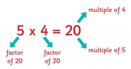 Factors and Multiples: Prime Numbers and Prime Factors, Index Forms and ...