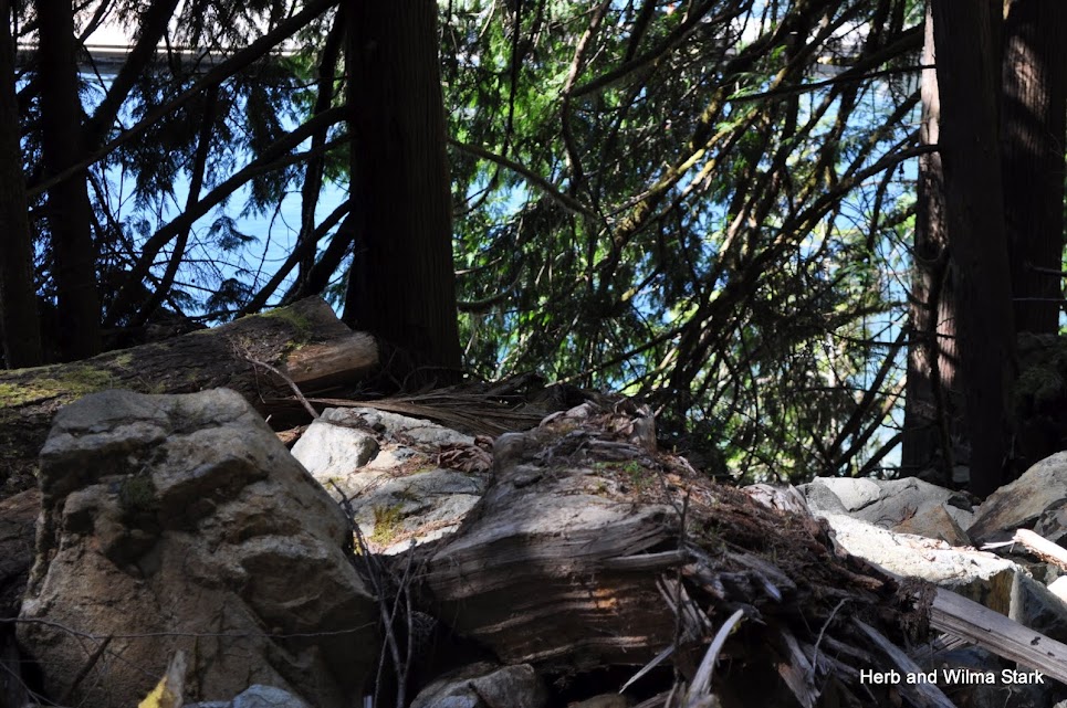 And Willie Said: Exploring Homfray Lodge - 8/3/2012