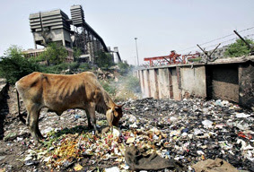 Whitfield's Pollution Education: The Effects of Land Pollution