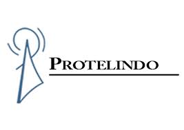 Legal Career : PT Profesional Telekomunikasi Indonesia (Protelindo)