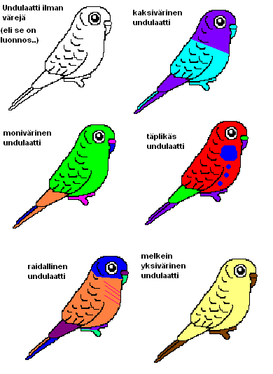 UNDULAATIT JA LEMMIKIT