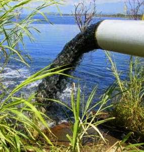 Ecología y medio ambiente afectaciones y posibles soluciones: DETERIORO ...