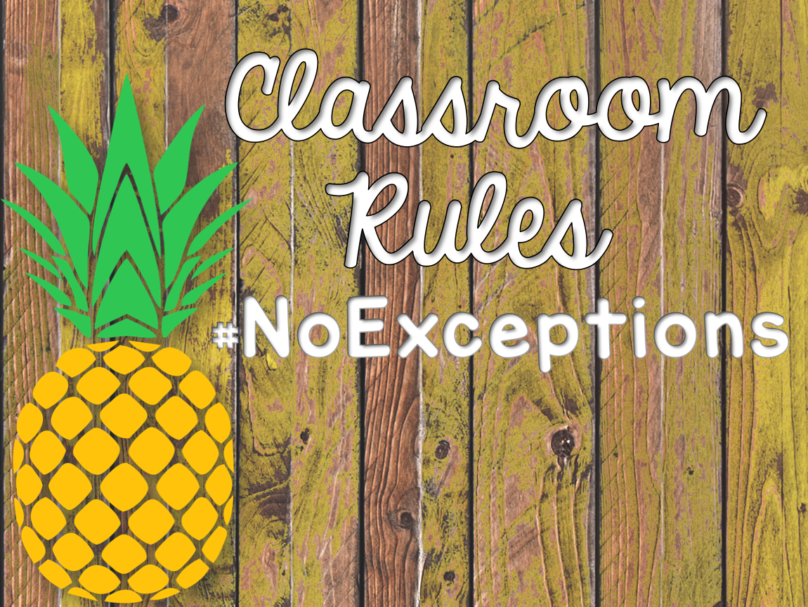 Classroom Rules Poster Classroom Rules Poster