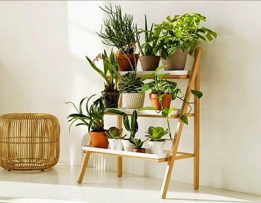 Model Rak Untuk Tanaman Hias - Ragam Tanaman