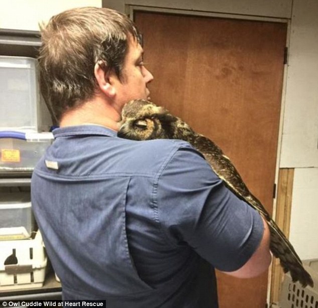 White Wolf : Owl gives the biggest hug imaginable to the man who saved ...