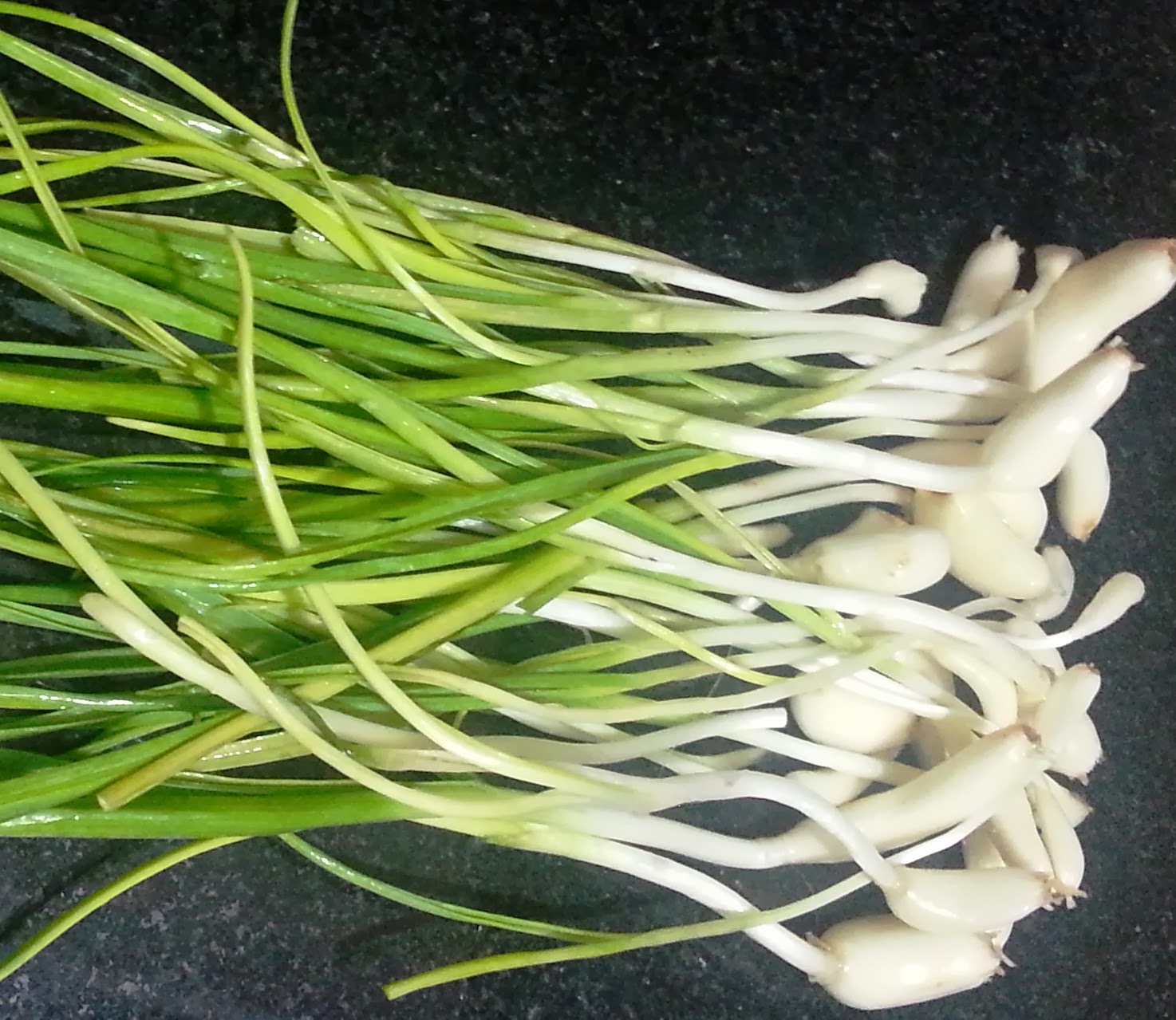 Paripoorna Paksiddhi : LASUN PATICHI CHUTNEY / LASUN THECHA / GREEN ...