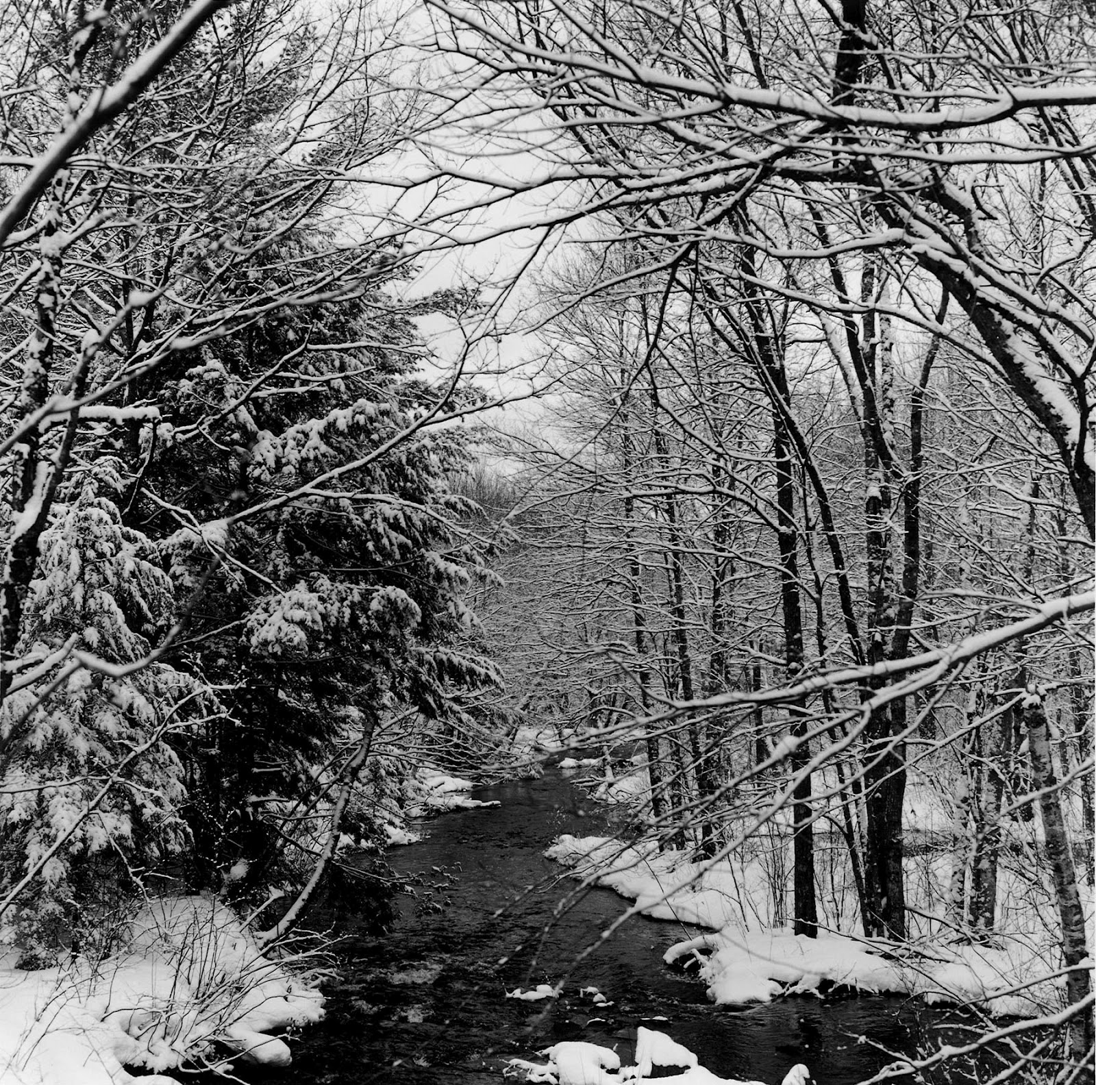 Geras Tousignant Gallery: James Scott Geras' Whitefield Collection