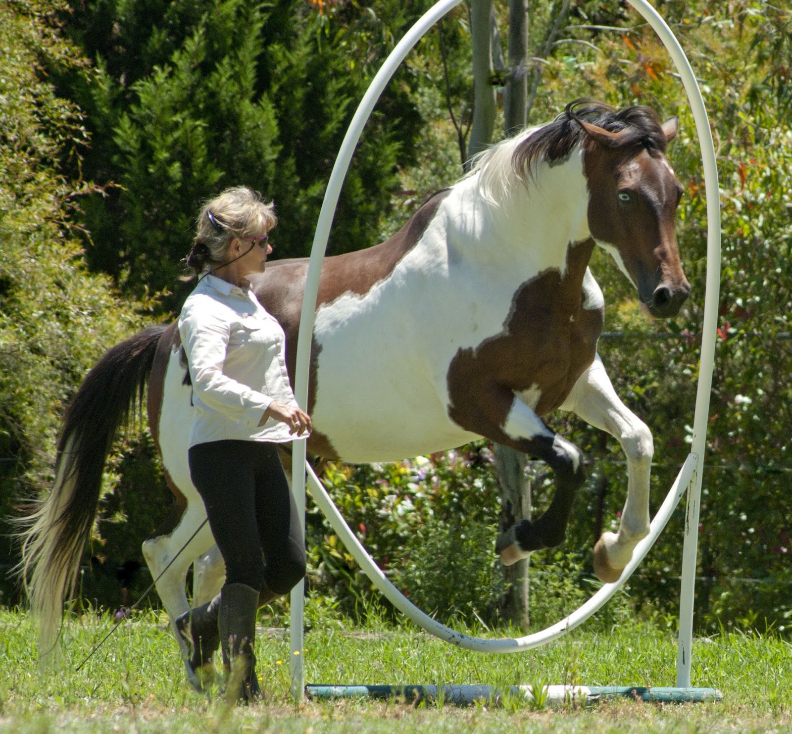 Natural Equestrian Horsemanship