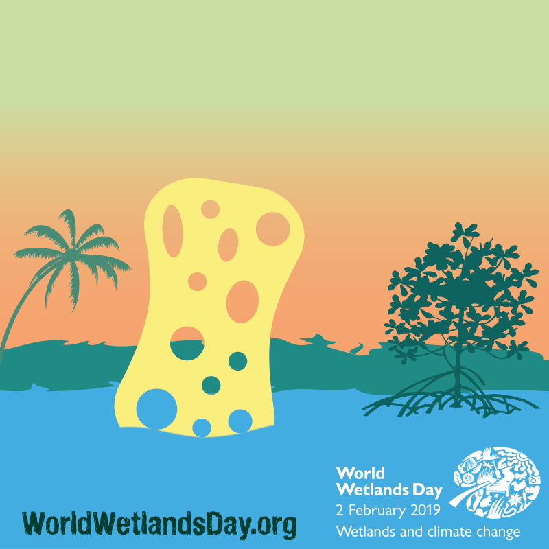 The Coal Point Chronicle World Wetlands Day 2 2 19 the-coal-point-chronicle-world-wetlands-day-2-2-19