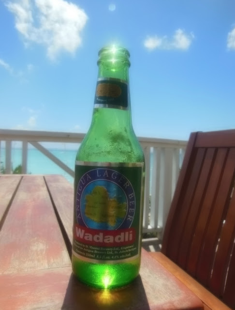 Commander Kelly: Conquering Mount Obama!