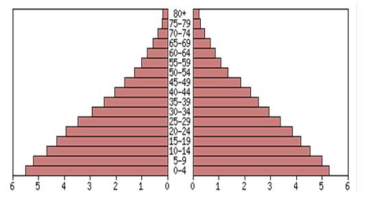 Salud y Educación: 5 Cosas que debes saber sobre la PIRÁMIDE DE POBLACIÓN