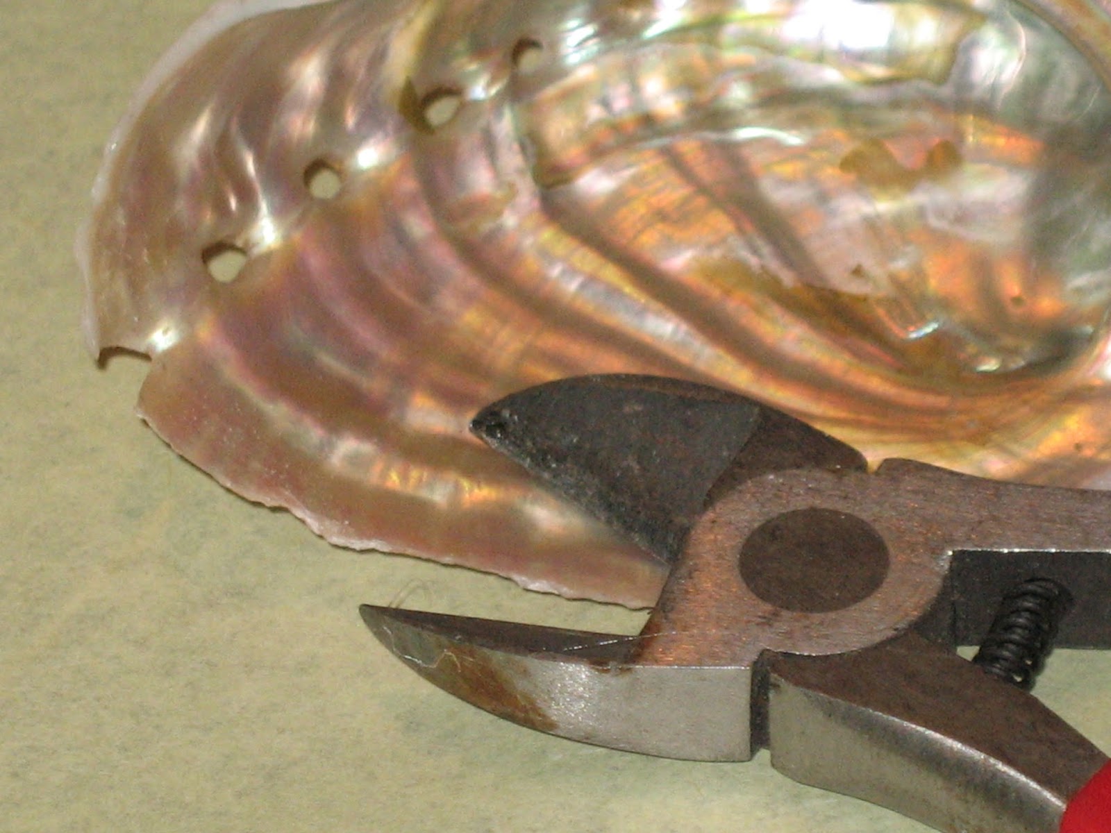 Artsy Fartsy: Bedazzled Abalone Shells