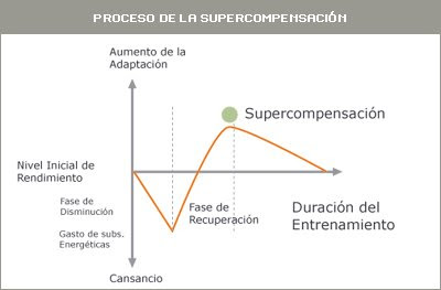 Entrenamiento - workout: SÍNDROME DE ADAPTACIÓN Y DE SUPERCOMPENSACION